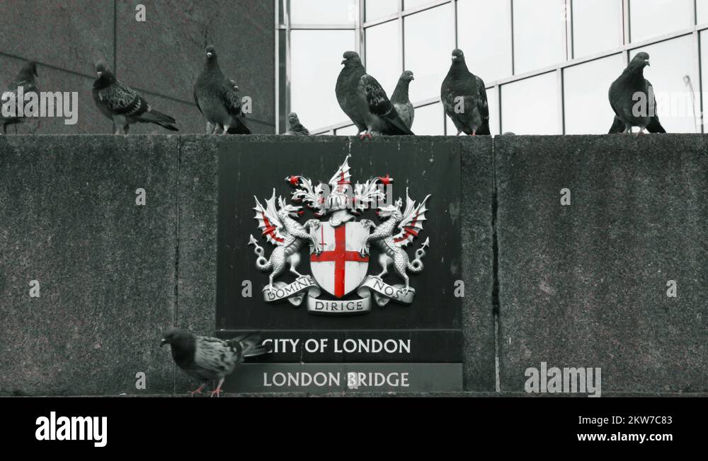 LONDON BRIDGE COAT OF ARMS AND WENTWORTH STREET Stock Video Footage - Alamy