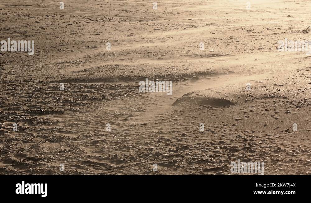 Wind blown beach sand Stock Videos & Footage - HD and 4K Video Clips ...