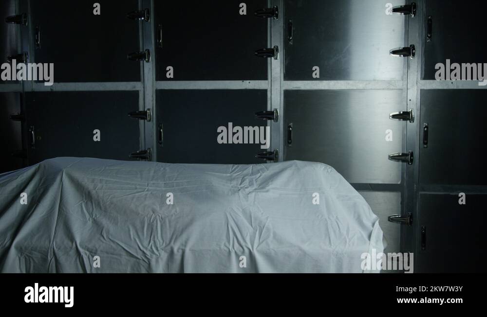 Autopsy examination Stock Videos & Footage - HD and 4K Video Clips - Alamy