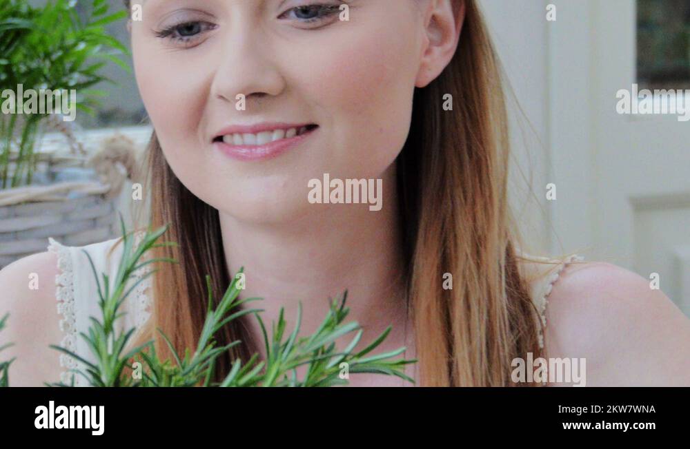 Cutting plant Stock Videos & Footage - HD and 4K Video Clips - Alamy