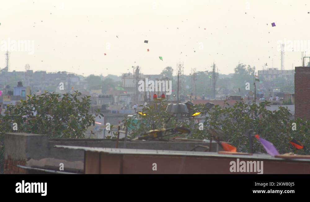 India's Republic Day in Jama Masjid Stock Video Footage - Alamy