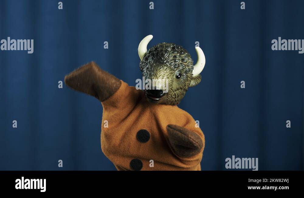 Bull hand puppet nodding head, pointing and shake arm with blue ...