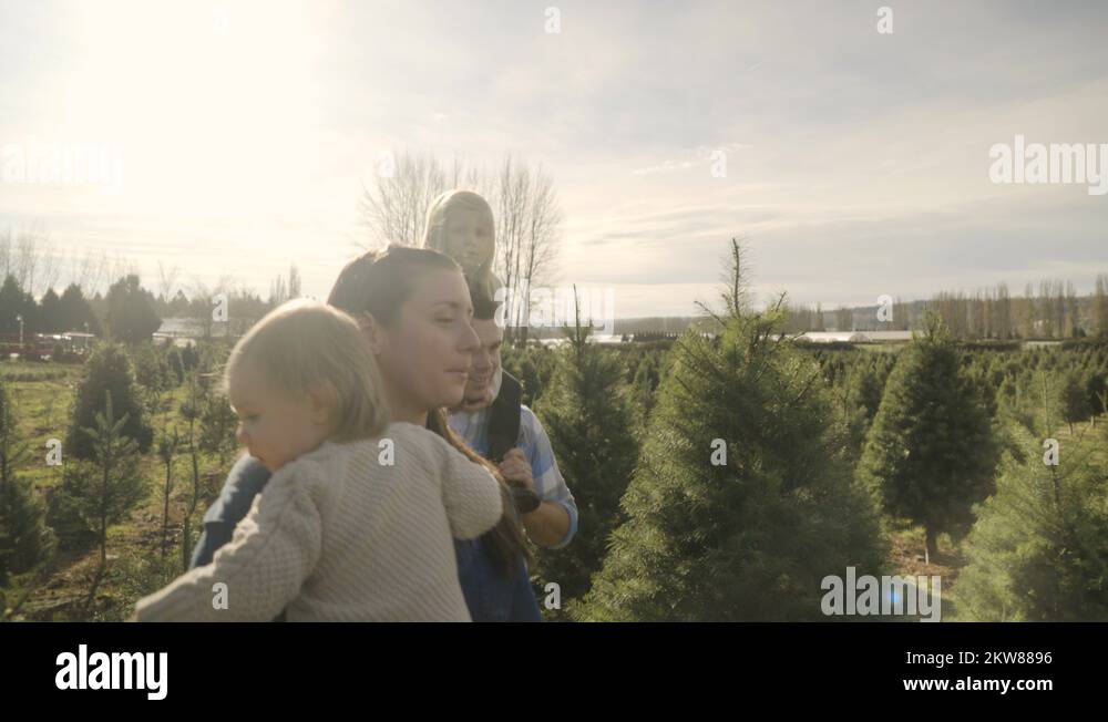 Push-out shot of a family walking at a tree farm Stock Video Footage ...