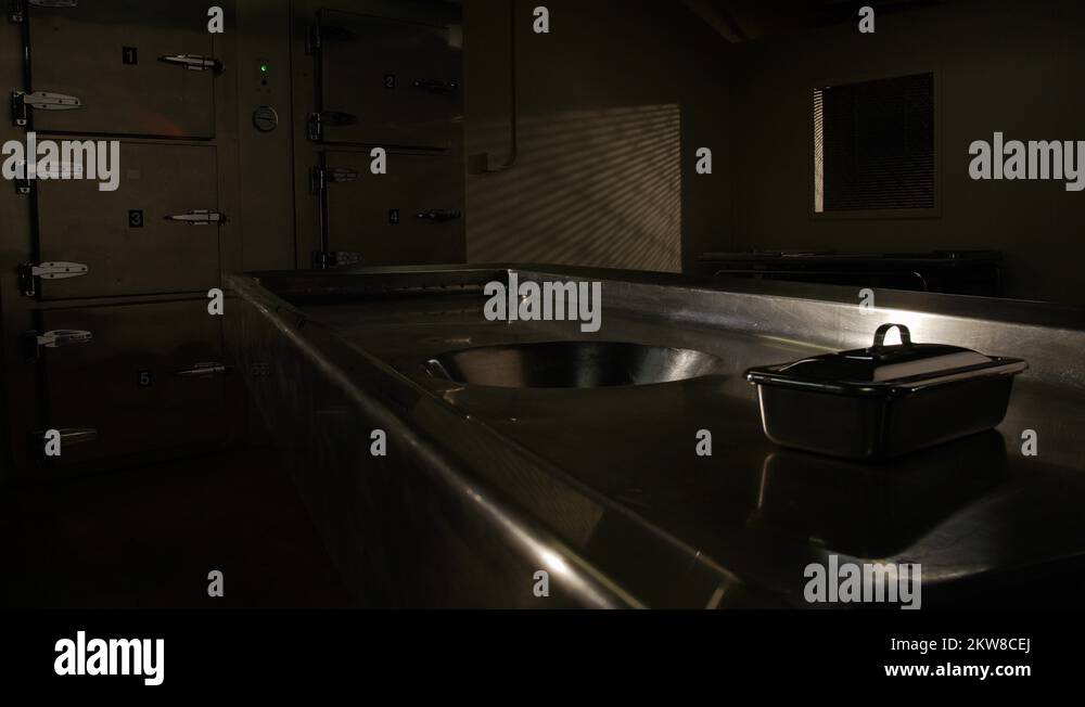 Autopsy table Stock Videos & Footage - HD and 4K Video Clips - Alamy