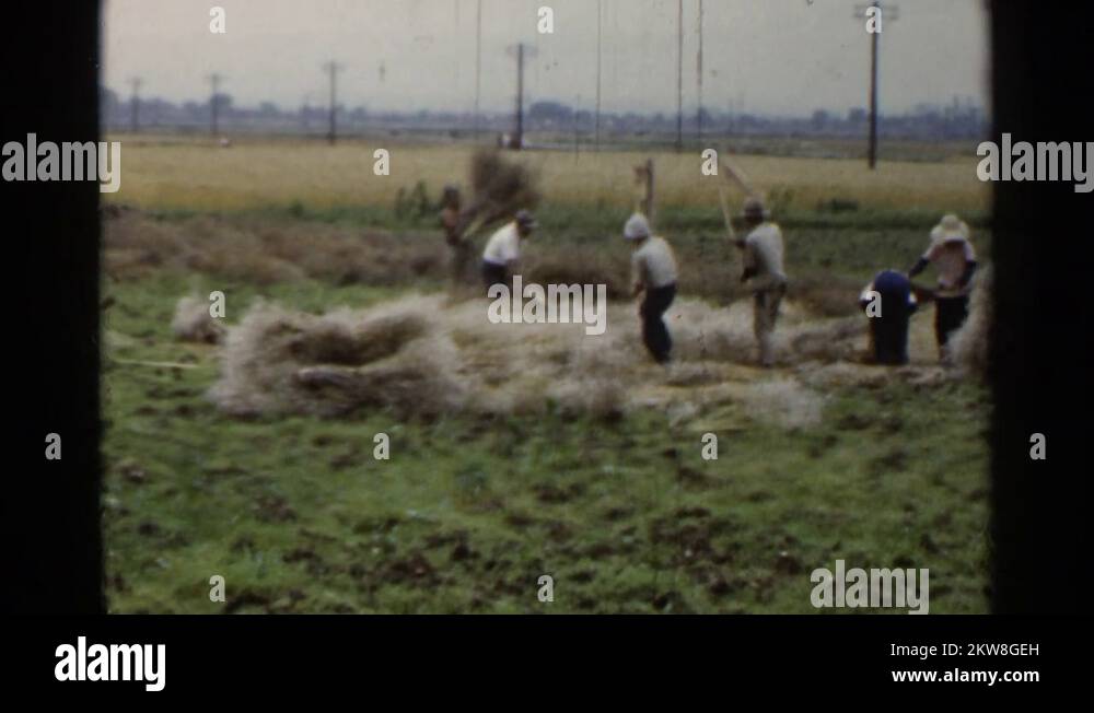 Field work is not waiting 1953 Stock Videos & Footage - HD and 4K Video ...
