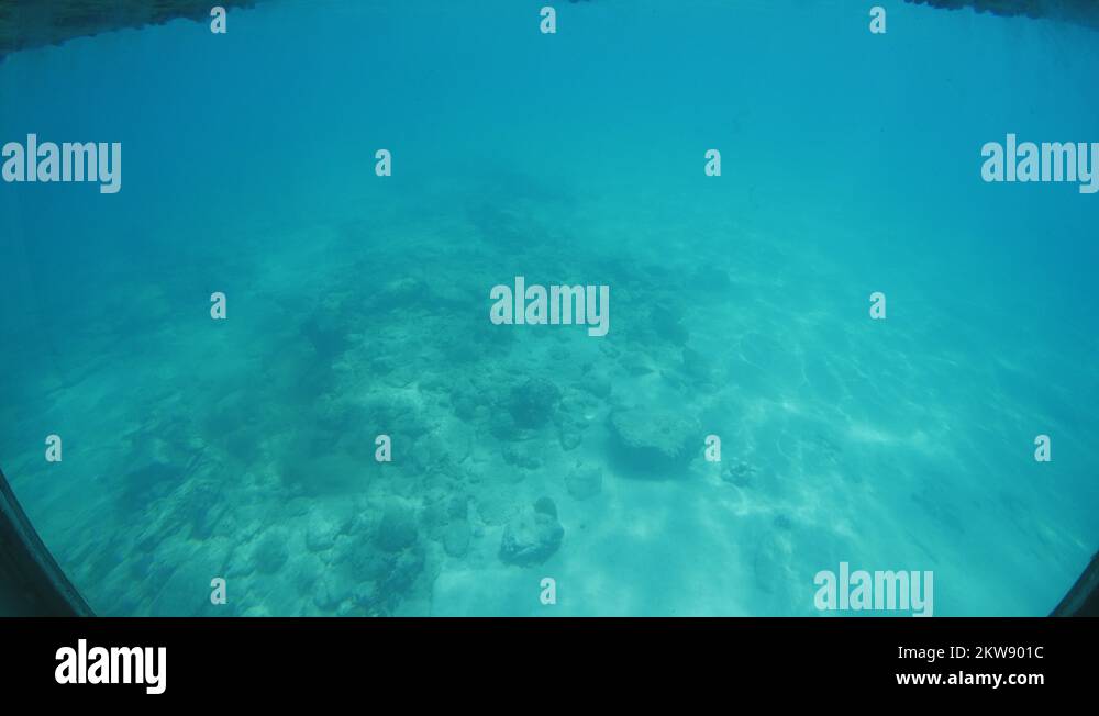 Seabed underwater from window view fish eye 2 Stock Video Footage - Alamy