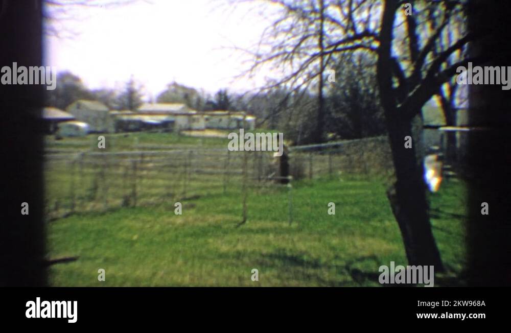1959: woman adjusts bare branches before lifting hedge shears in garden ...