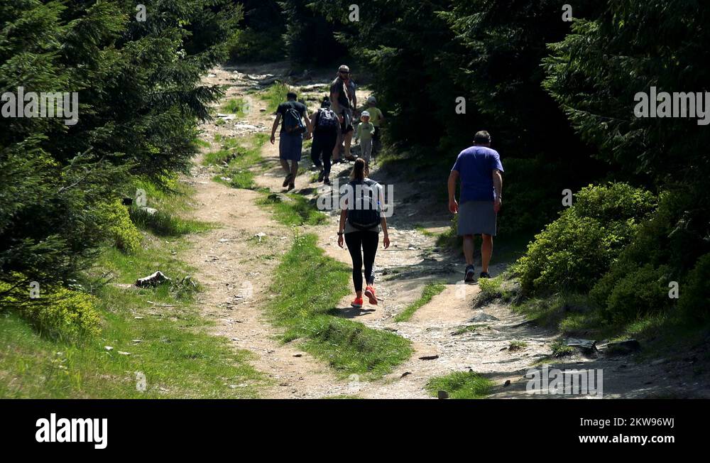 Back stops Stock Videos & Footage - HD and 4K Video Clips - Alamy