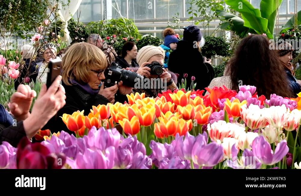 Flower market moscow Stock Videos & Footage - HD and 4K Video Clips - Alamy
