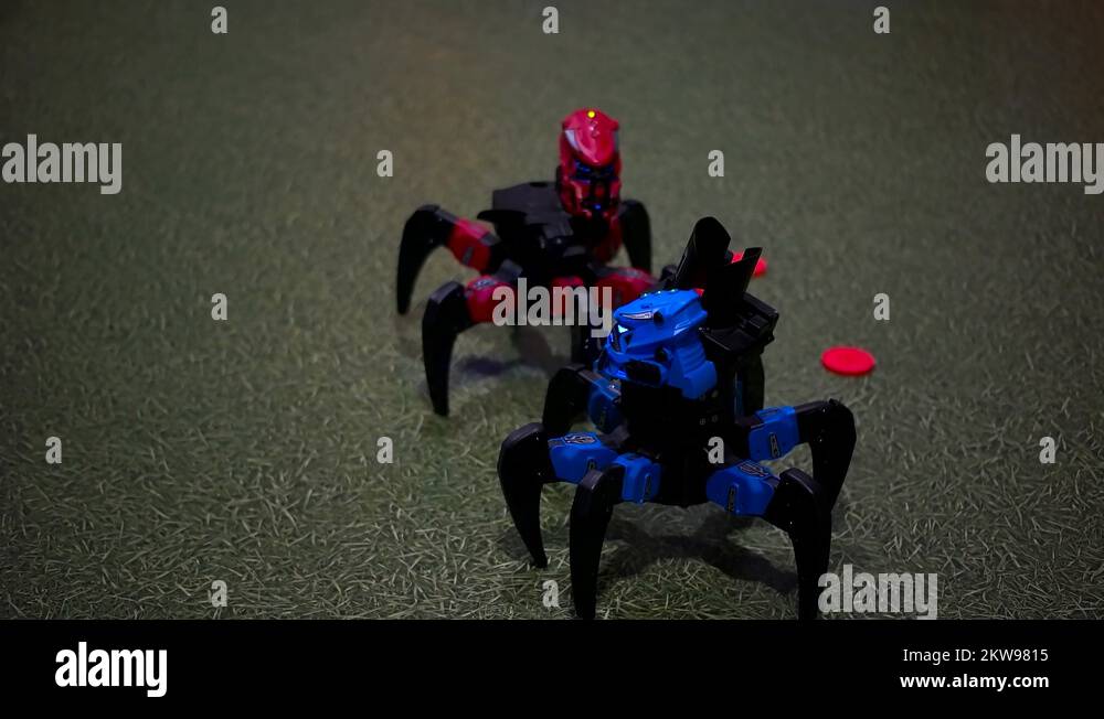 Deadly spiders Stock Videos & Footage - HD and 4K Video Clips - Alamy