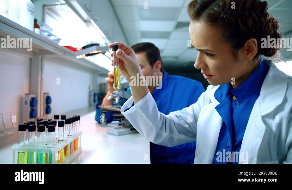 Scientist team working in laboratory. Science research group working in ...