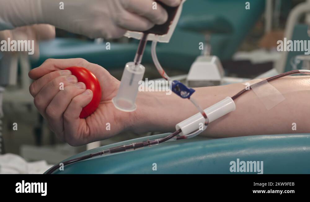 Venous blood sample Stock Videos & Footage - HD and 4K Video Clips - Alamy