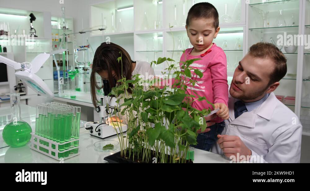 Children growing plants Stock Videos & Footage - HD and 4K Video Clips ...