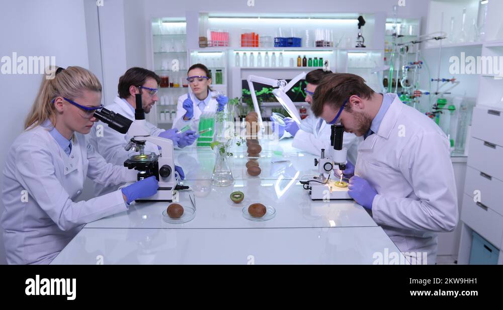 Microscopic Research Test of Genetically Modified Kiwi Organic Fruit ...