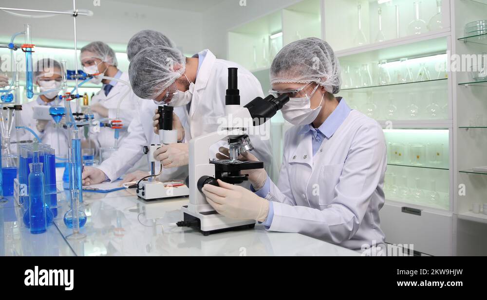 Laboratory Staff Working Bacteriologist Examine Bacteria Studying on ...