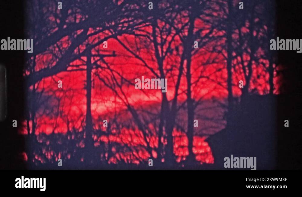 Cute environment Stock Videos & Footage - HD and 4K Video Clips - Alamy