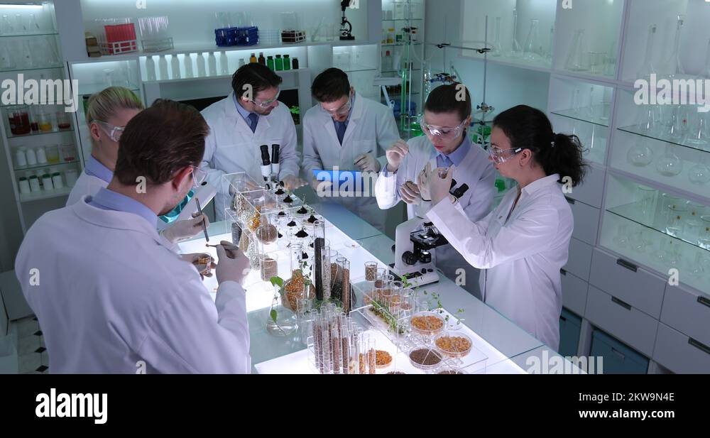 Agriculture Biological Laboratory Researchers Work Genetically Modified ...