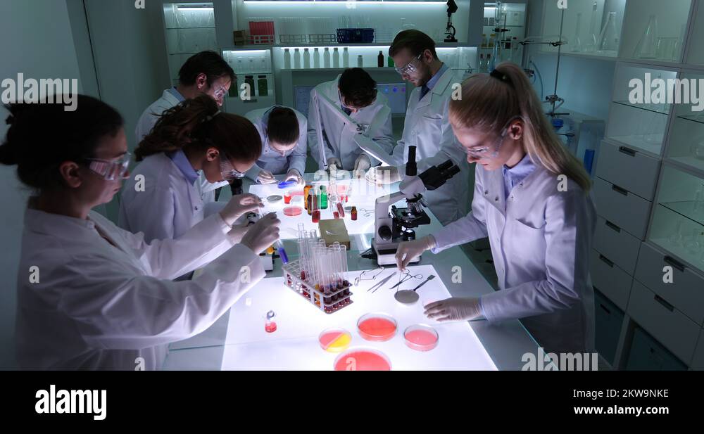Scientists Researchers Working Experiments Tests Chemicals Microscope ...