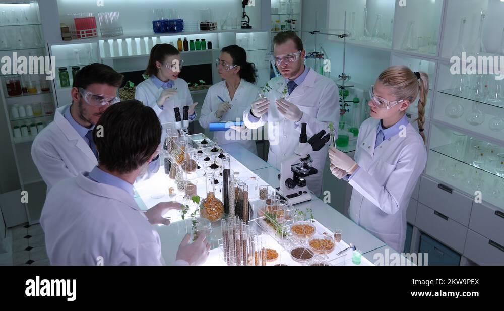 Genetic engineering plants lab Stock Videos & Footage - HD and 4K Video ...