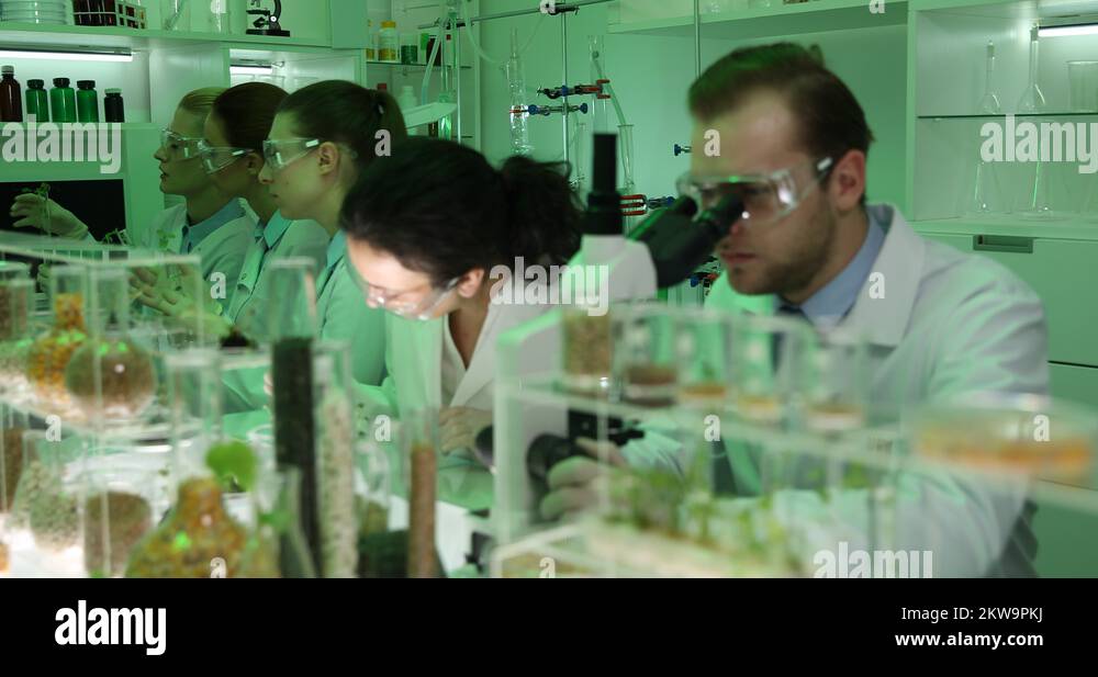 Biology lesson with plants Stock Videos & Footage - HD and 4K Video ...