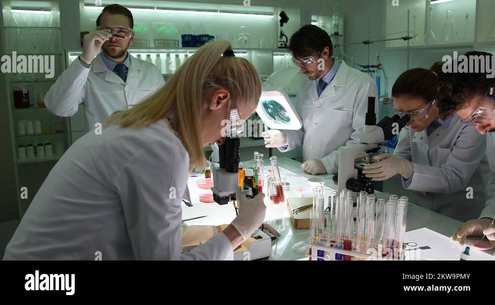 Team of Forensics Scientists Work Biological Researches Bio Laboratory ...