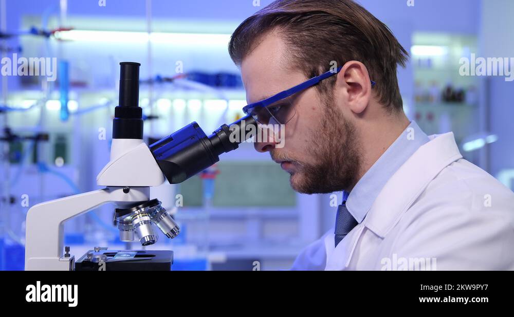 Researcher Man Examining Bacteria Sample on Microscope in Modern Test ...