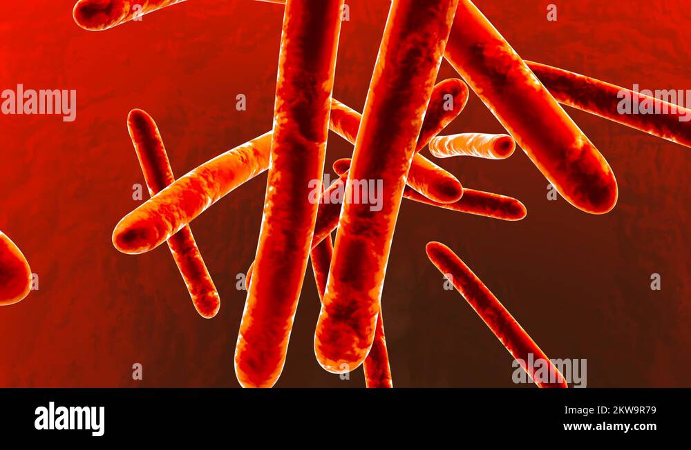 Animation of Tuberculosis bacterias infecting a body Stock Video ...
