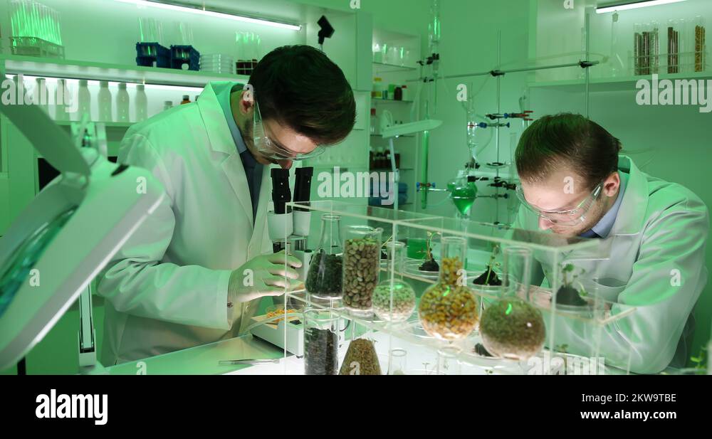 Seed plant research Stock Videos & Footage - HD and 4K Video Clips - Alamy
