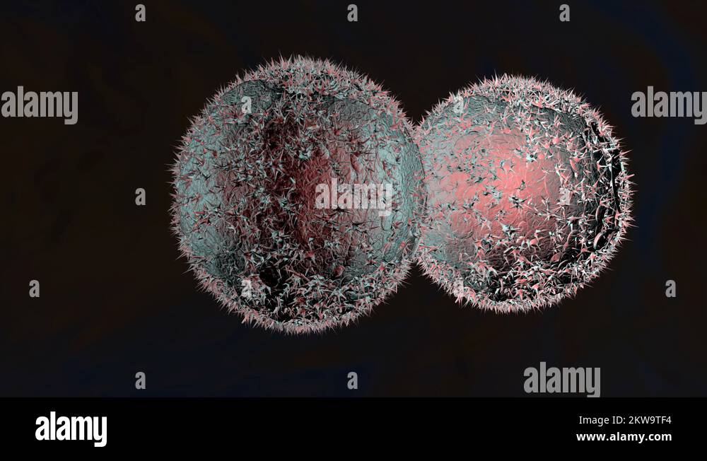 3D rendered Animation of a Cancer Cell replication Stock Video Footage ...