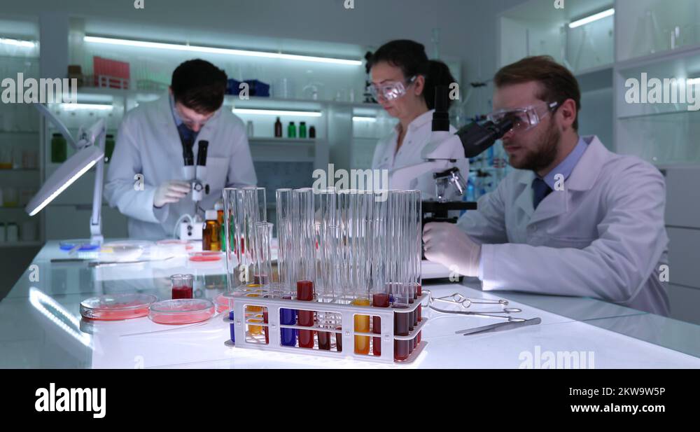 Team of Researchers Work Collaboration Test Activity Medical Hospital ...