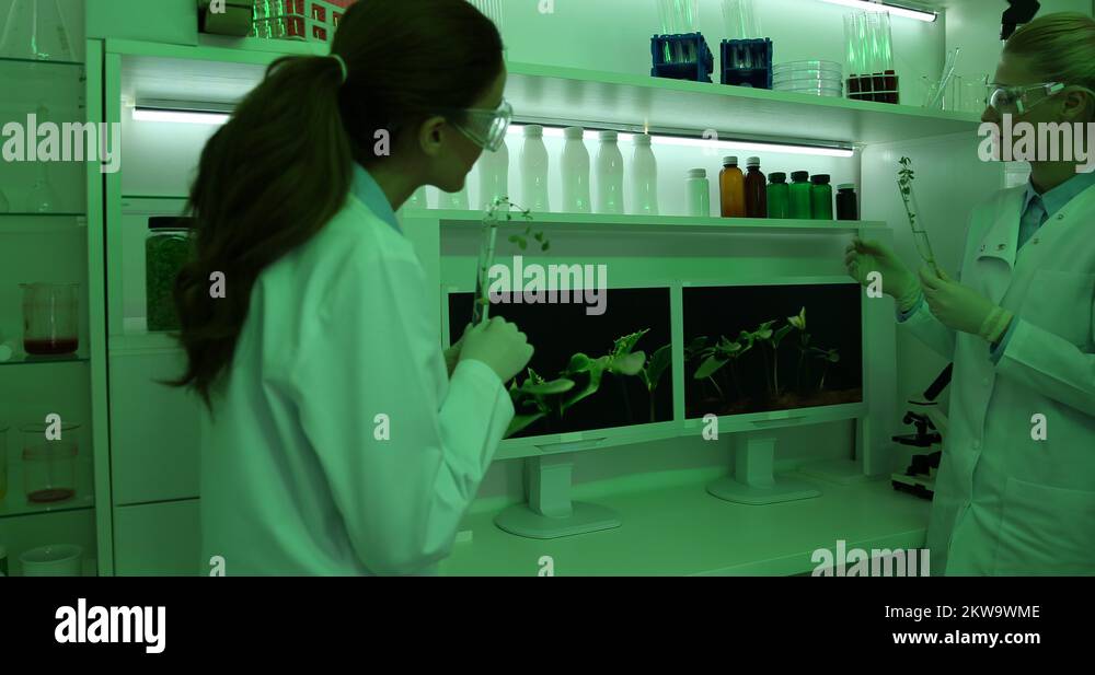 Teacher Talking Young Students How Plants Growing University Facility ...