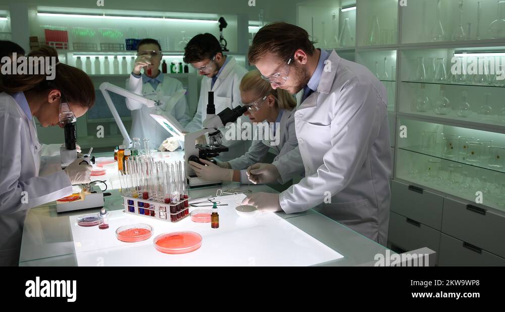 Forensics Medical Researchers Working with Microscope Test Tubes in ...