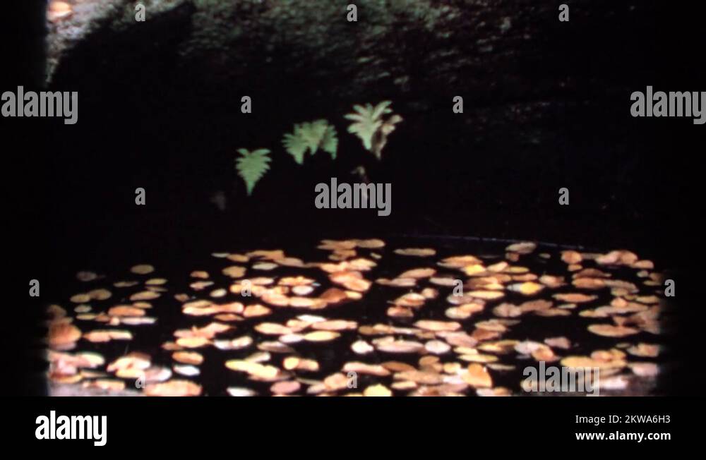 Dark pool of water Stock Videos & Footage - HD and 4K Video Clips - Alamy