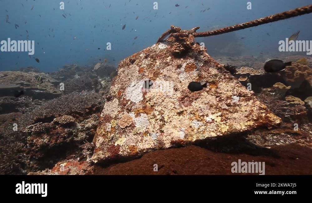 Anchor block Stock Videos & Footage - HD and 4K Video Clips - Alamy