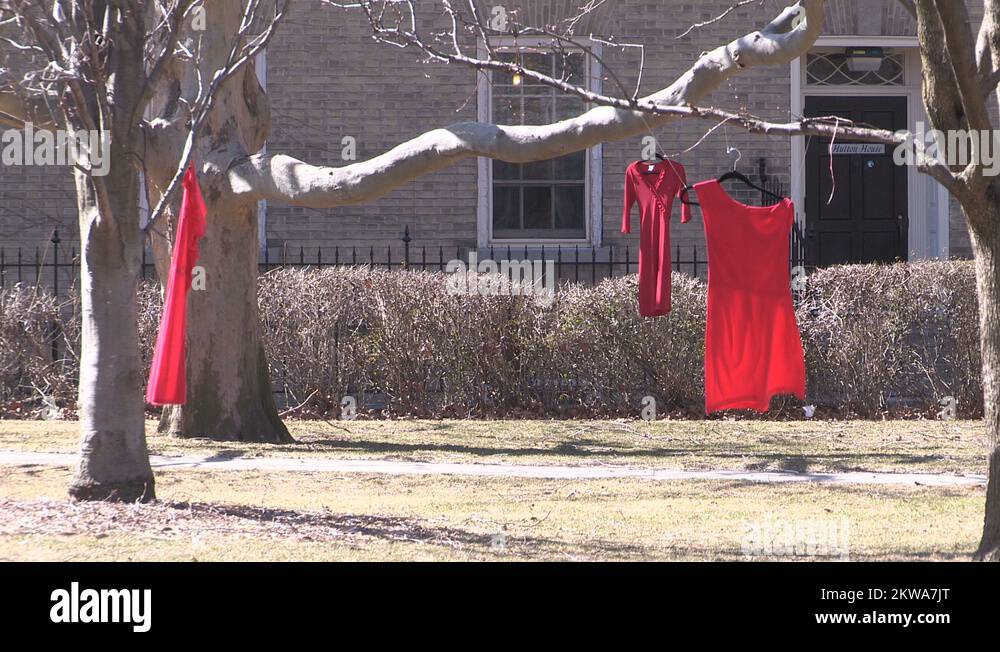 Red dresses hang from trees in memory of missing and murdered ...