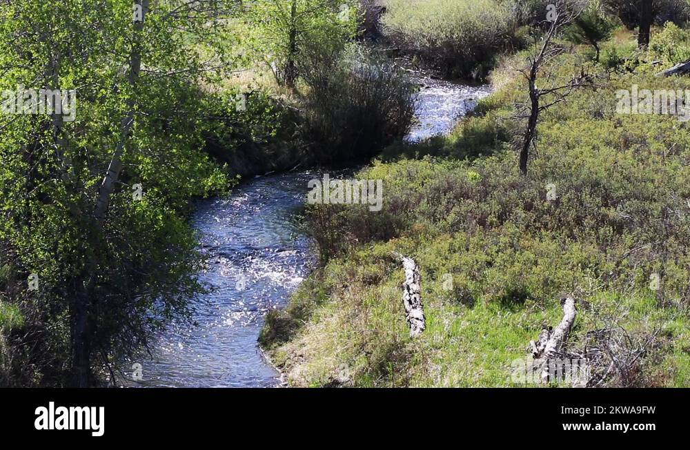 Tributary of the yellowstone river Stock Videos & Footage - HD and 4K ...