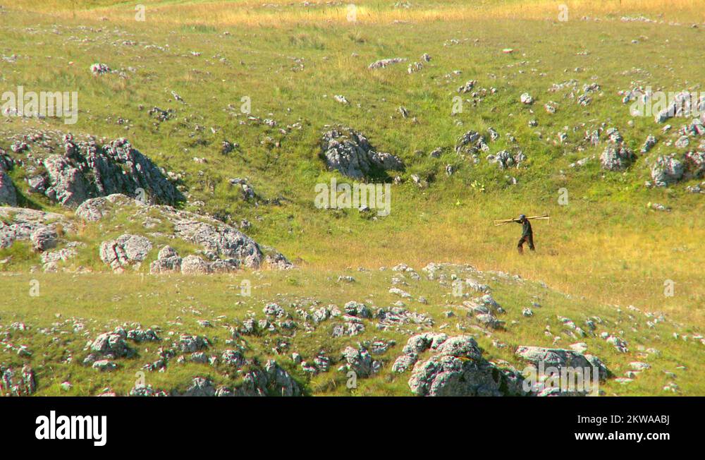 Wooden rake Stock Videos & Footage - HD and 4K Video Clips - Alamy