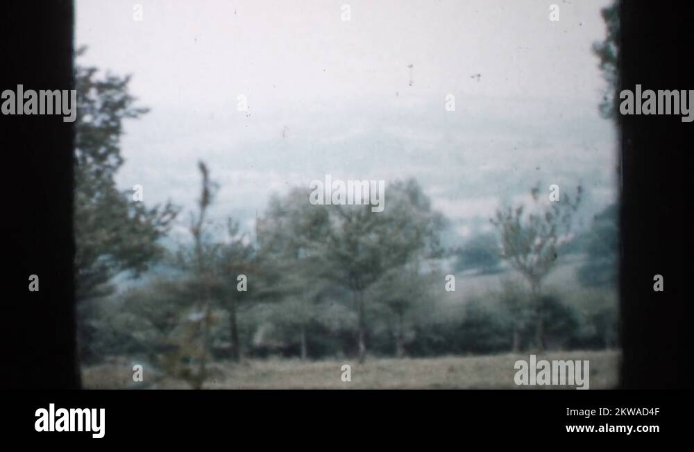1957: a panoramic hillside view of high desert trees and dry underbrush ...