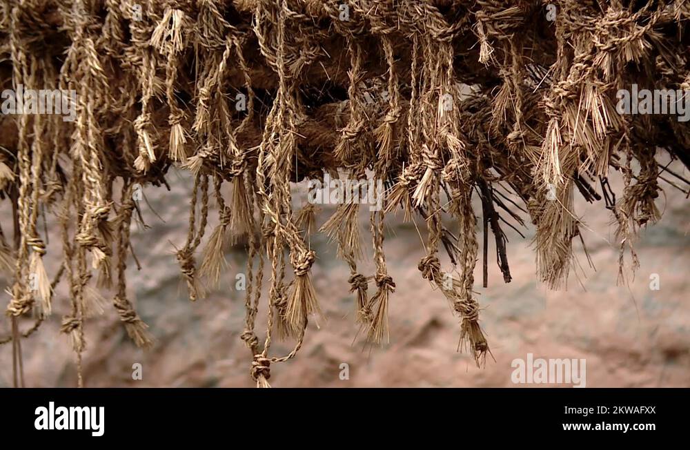 Grass bridge Stock Videos & Footage - HD and 4K Video Clips - Alamy