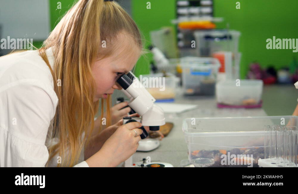 Young girls with microscope in school research lab looking into ...