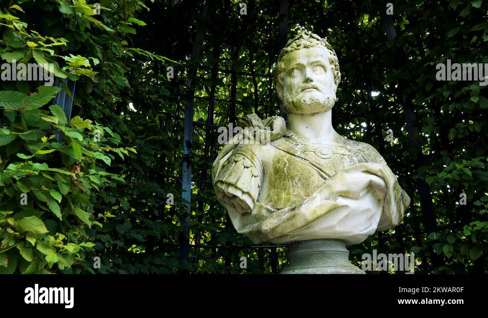 Caesar weed Stock Videos & Footage - HD and 4K Video Clips - Alamy