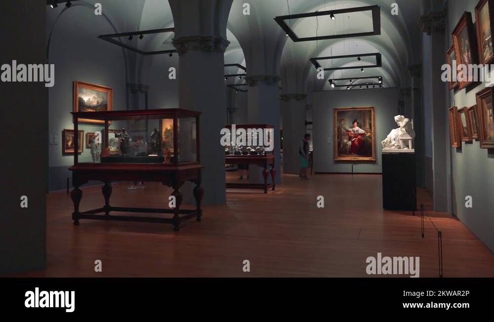 Display Exhibit Exhibits Stock Videos Footage Hd And 4k Video Clips