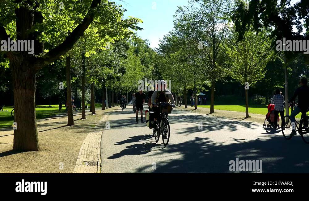 People walk and ride on roller skates and bikes on a tree-hemmed path ...