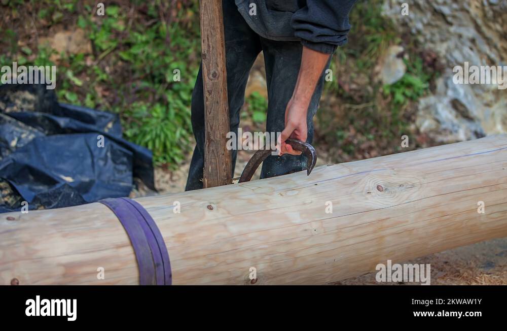 Measuring logs Stock Videos & Footage - HD and 4K Video Clips - Alamy