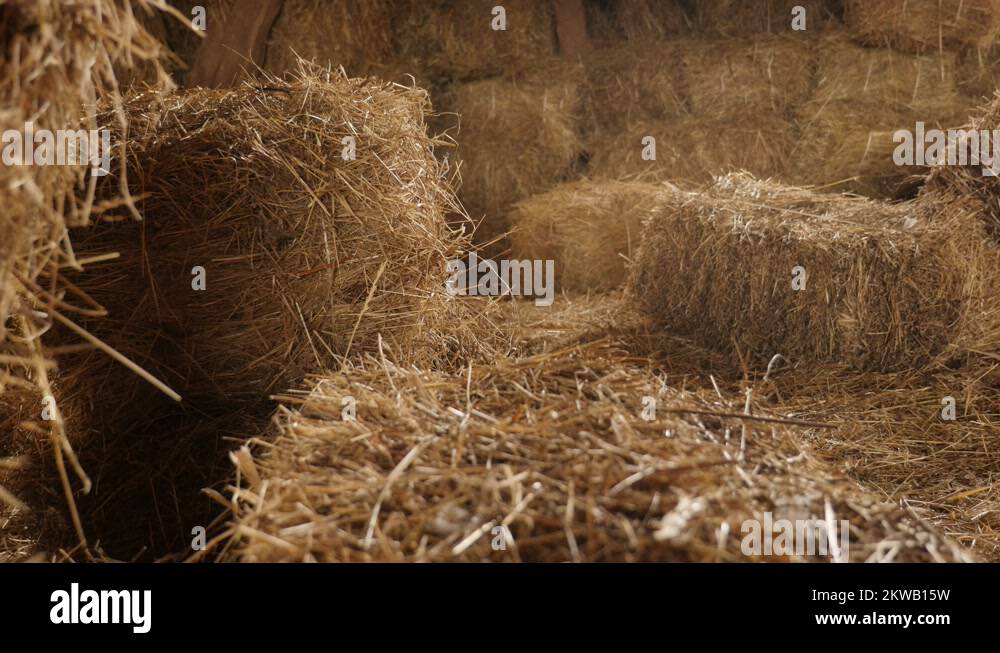 Curing process Stock Videos & Footage - HD and 4K Video Clips - Alamy