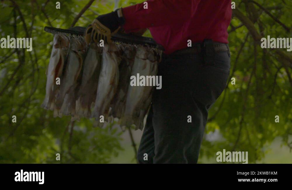 Fish farming australia Stock Videos & Footage - HD and 4K Video Clips ...