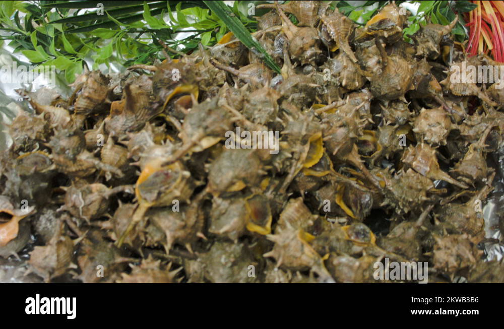 Spider market Stock Videos & Footage - HD and 4K Video Clips - Alamy