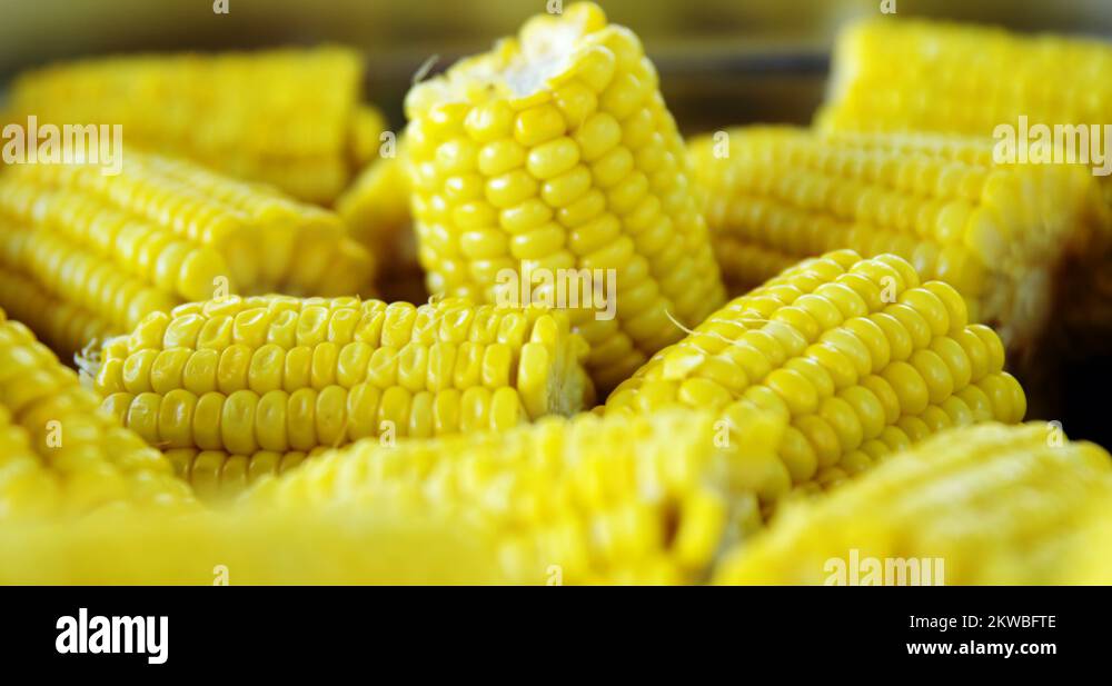 Seed corns Stock Videos & Footage - HD and 4K Video Clips - Alamy