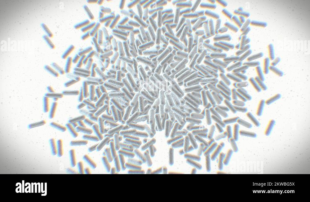 Bacterial cell division Stock Videos & Footage - HD and 4K Video Clips ...