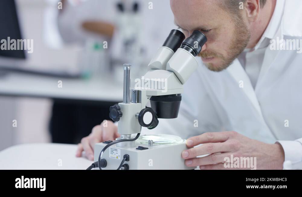 A slide under microscope Stock Videos & Footage - HD and 4K Video Clips ...